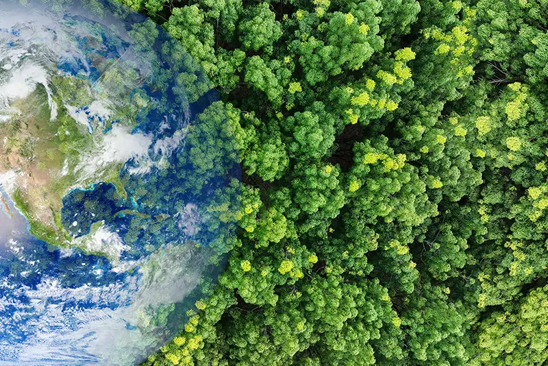 Our Quality Policies | Reka Oil